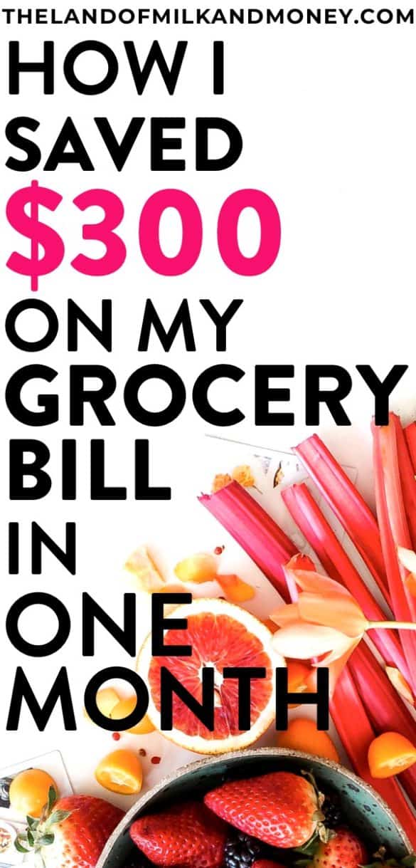 How To Save Money On Groceries ($300+ In One Month!)