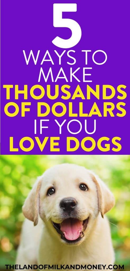 How To Make Money With Dogs (Or Cats) - Earn $3,000+ From Pets!