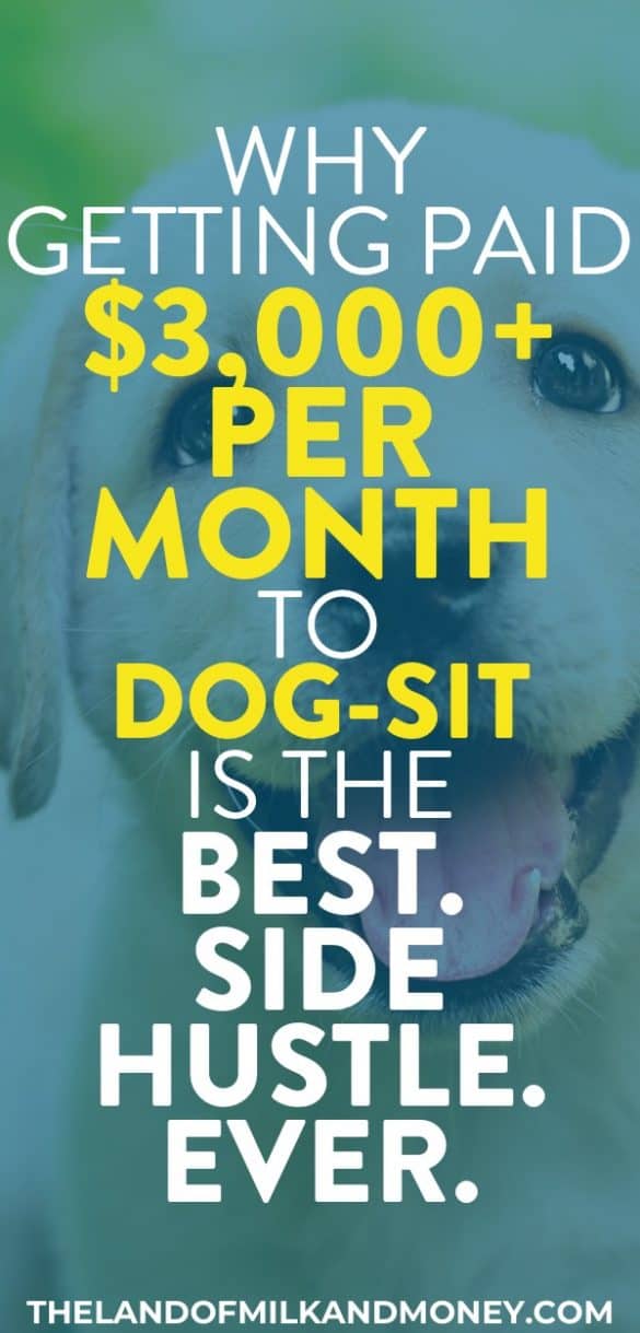 How To Make Money With Dogs (Or Cats) - Earn $3,000+ From Pets!